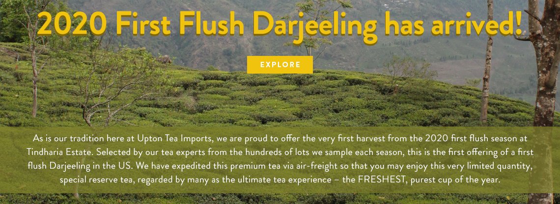 Loose Leaf Tea From Around The World - Upton Tea Imports